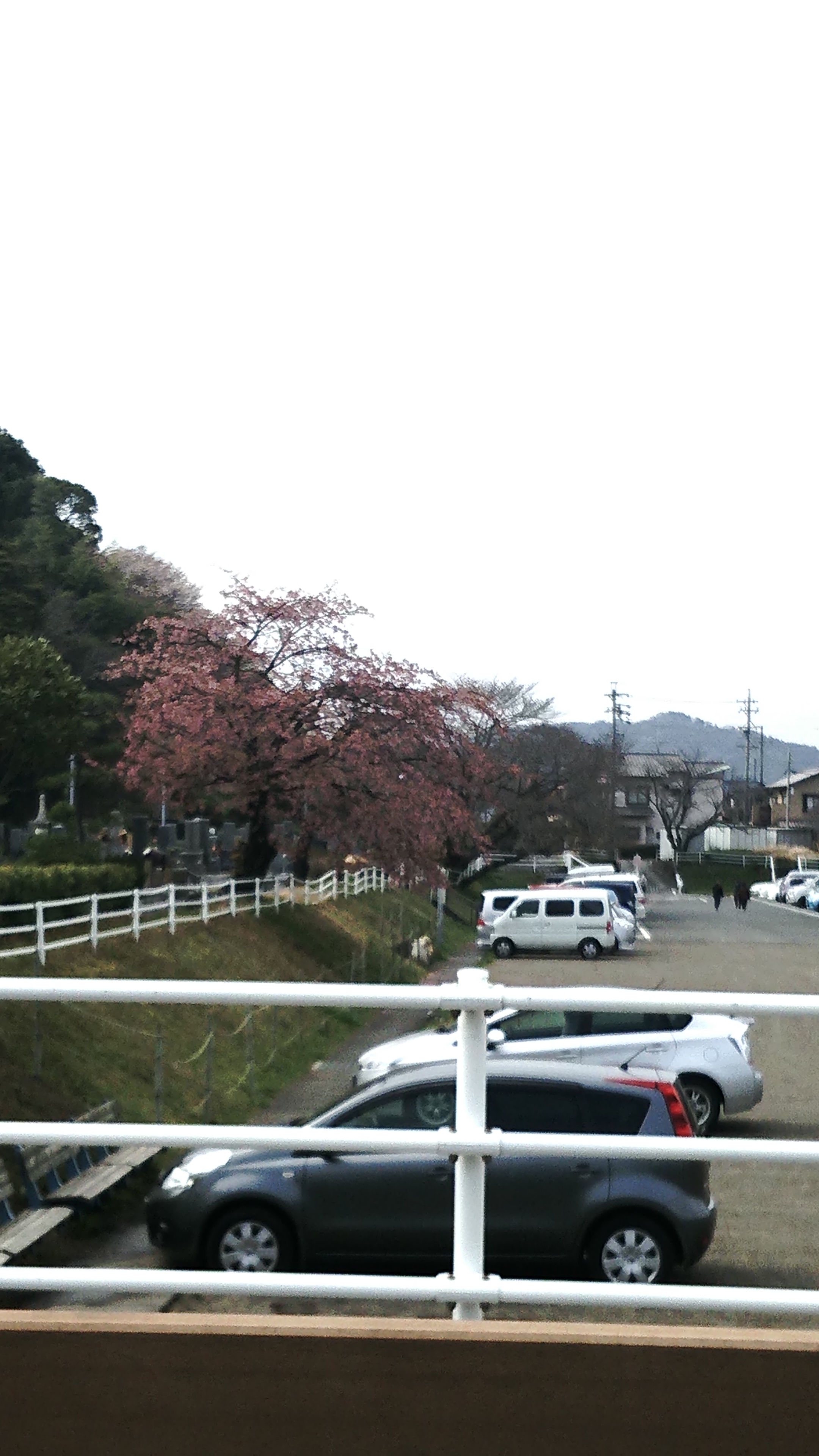 お墓参り｜スタッフブログ｜[公式] 仏壇仏具販売・お仏壇のやまき 静岡県最多の展示数